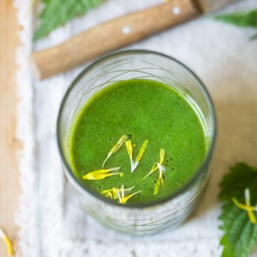 Brennessel Fr Smoothie